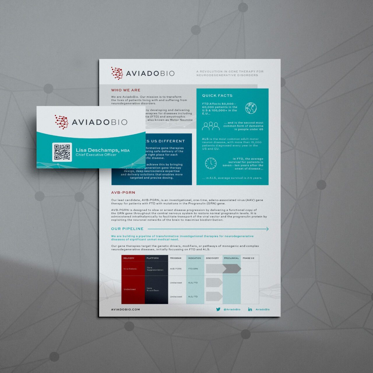 AviadoBio - Identity Creative