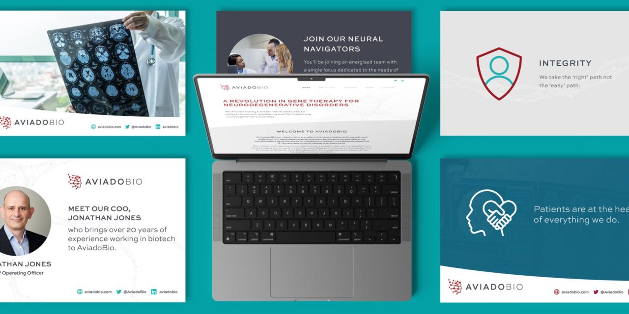 AviadoBio - Identity Creative